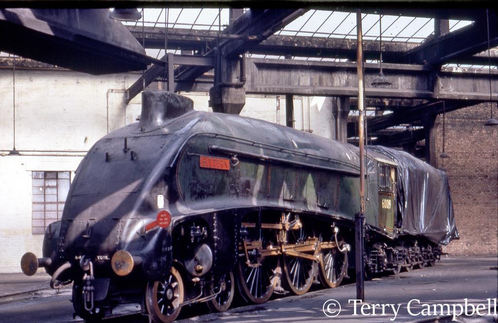 60019 Bittern (LNER 4464, LNER 603, LNER 19 & BR 60019) – Preserved ...