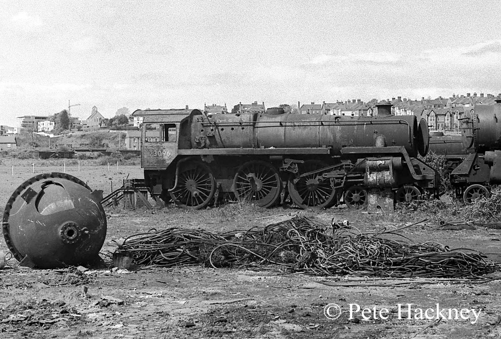 73096 – Preserved British Steam Locomotives