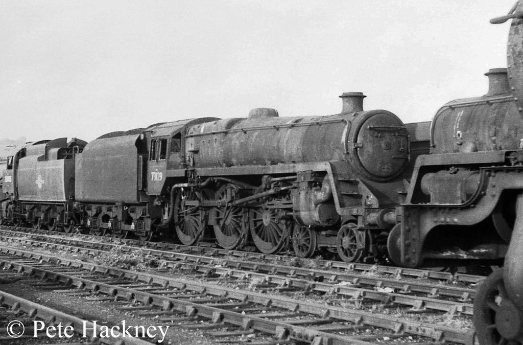73129 – Preserved British Steam Locomotives