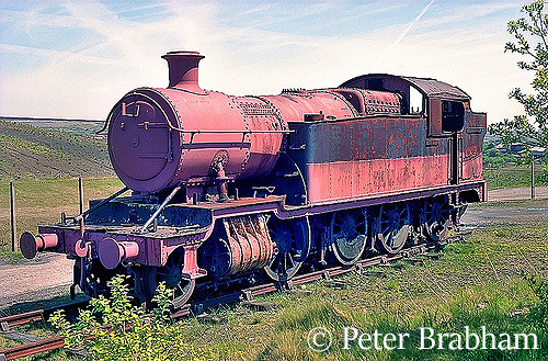 4253 – Preserved British Steam Locomotives