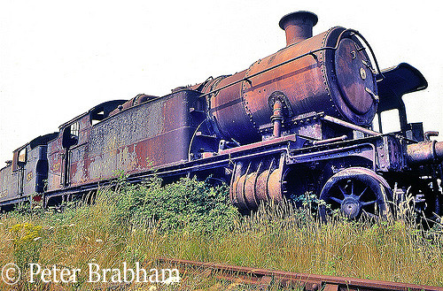 5227 – Preserved British Steam Locomotives