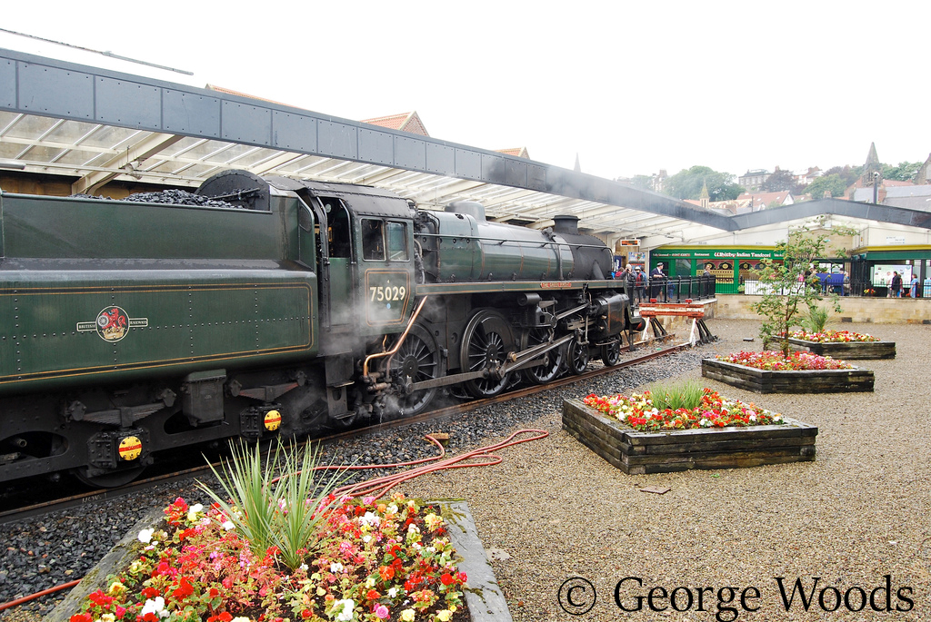 75029 – Preserved British Steam Locomotives
