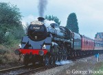 75069 – Preserved British Steam Locomotives