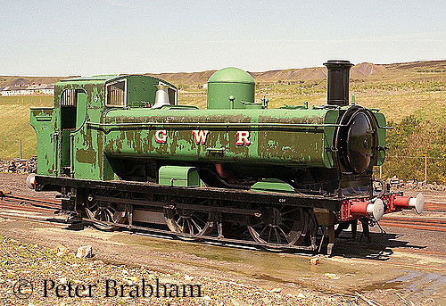 9629 – Preserved British Steam Locomotives