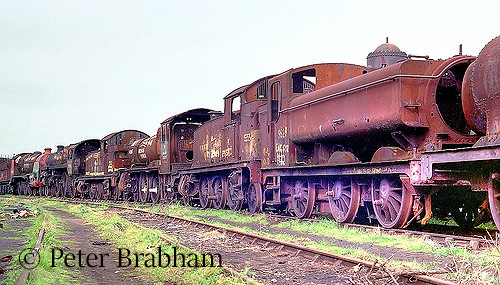 9629 – Preserved British Steam Locomotives