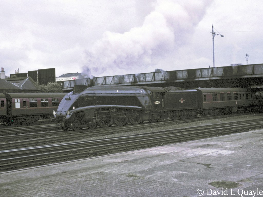 60019 Bittern (LNER 4464, LNER 603, LNER 19 & BR 60019) – Preserved ...