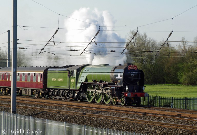 60163 Tornado – Preserved British Steam Locomotives