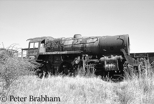 76077 – Preserved British Steam Locomotives