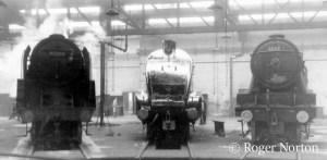 60019 Bittern (LNER 4464, LNER 603, LNER 19 & BR 60019) – Preserved ...