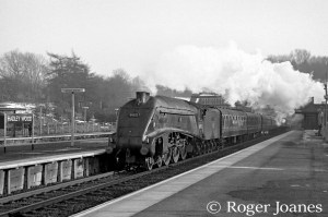 60022 Mallard (LNER 4468, LNER 607, LNER 22, BR E22 & BR 60022 ...