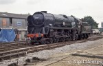 35027 Port Line – Preserved British Steam Locomotives