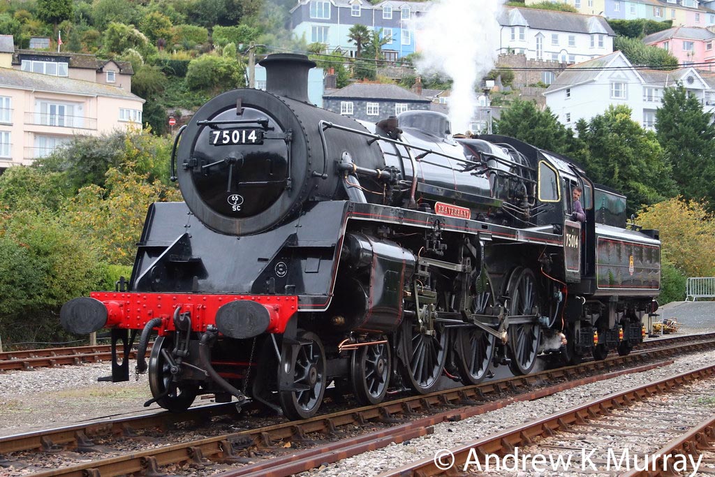 75014 – Preserved British Steam Locomotives