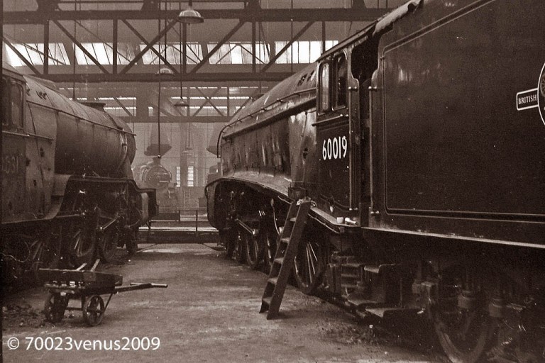 60019 Bittern (LNER 4464, LNER 603, LNER 19 & BR 60019) – Preserved ...