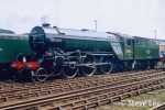 60800 Green Arrow (LNER 4771, LNER 700, LNER 800 & BR 60800 ...