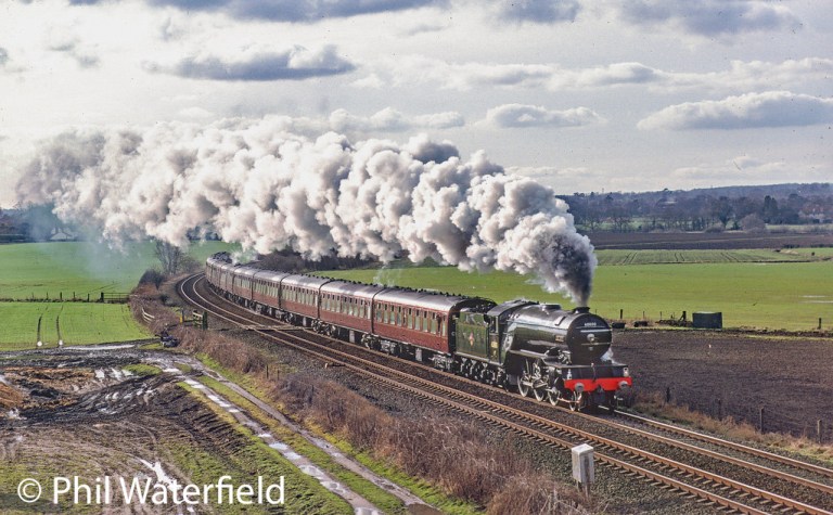 60800 Green Arrow (LNER 4771, LNER 700, LNER 800 & BR 60800 ...