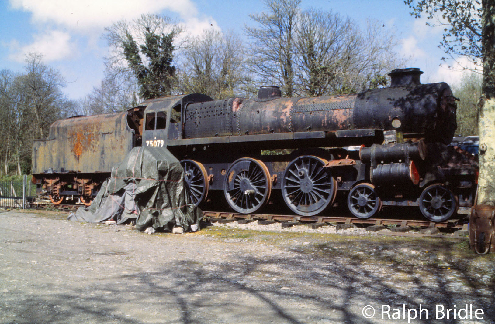75079 – Preserved British Steam Locomotives