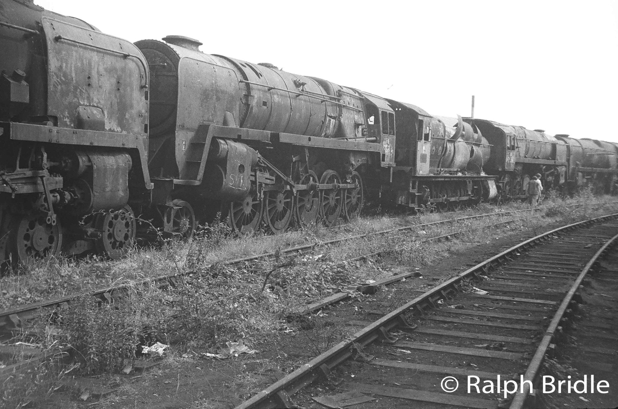 92219 – Preserved British Steam Locomotives