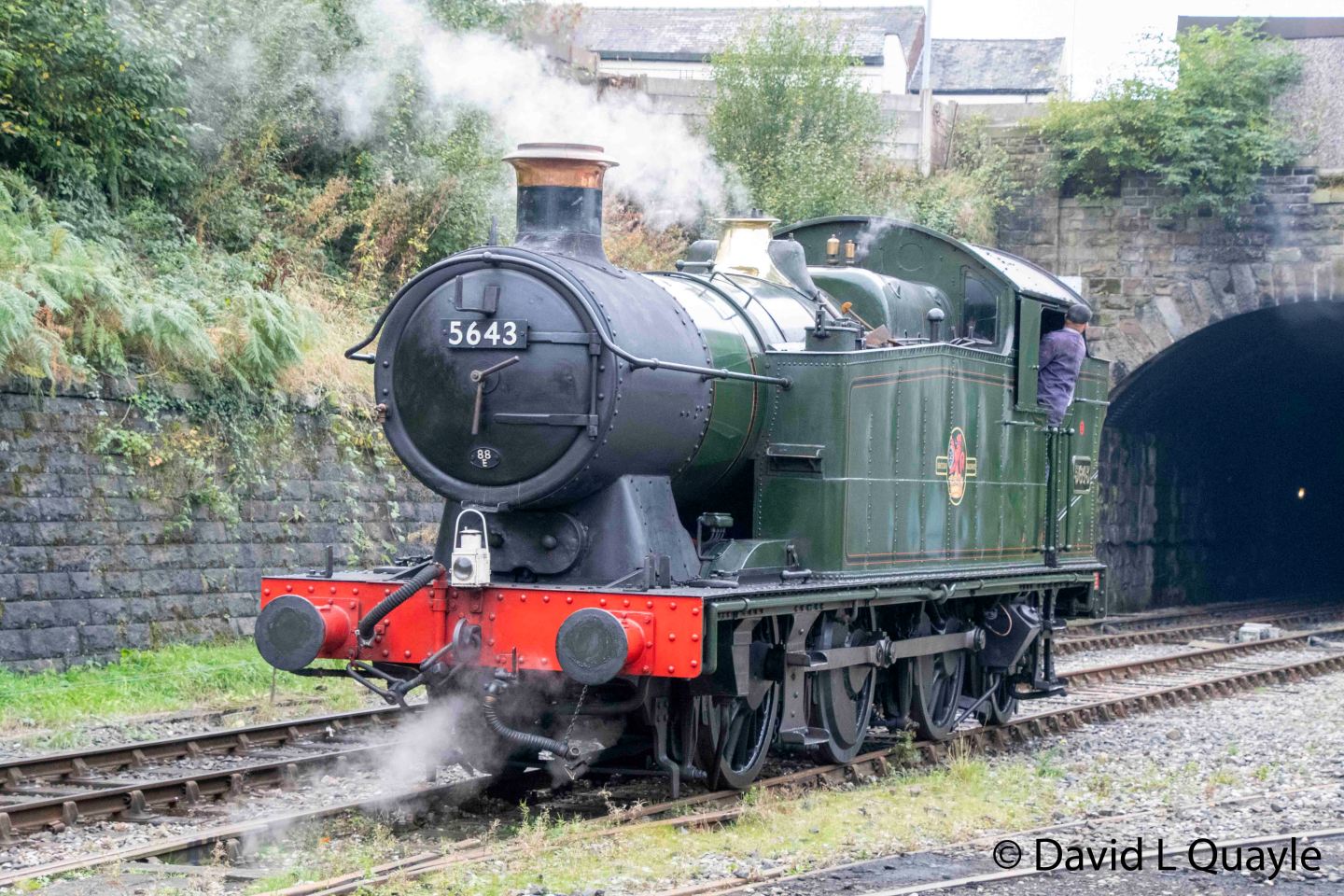 5643 – Preserved British Steam Locomotives