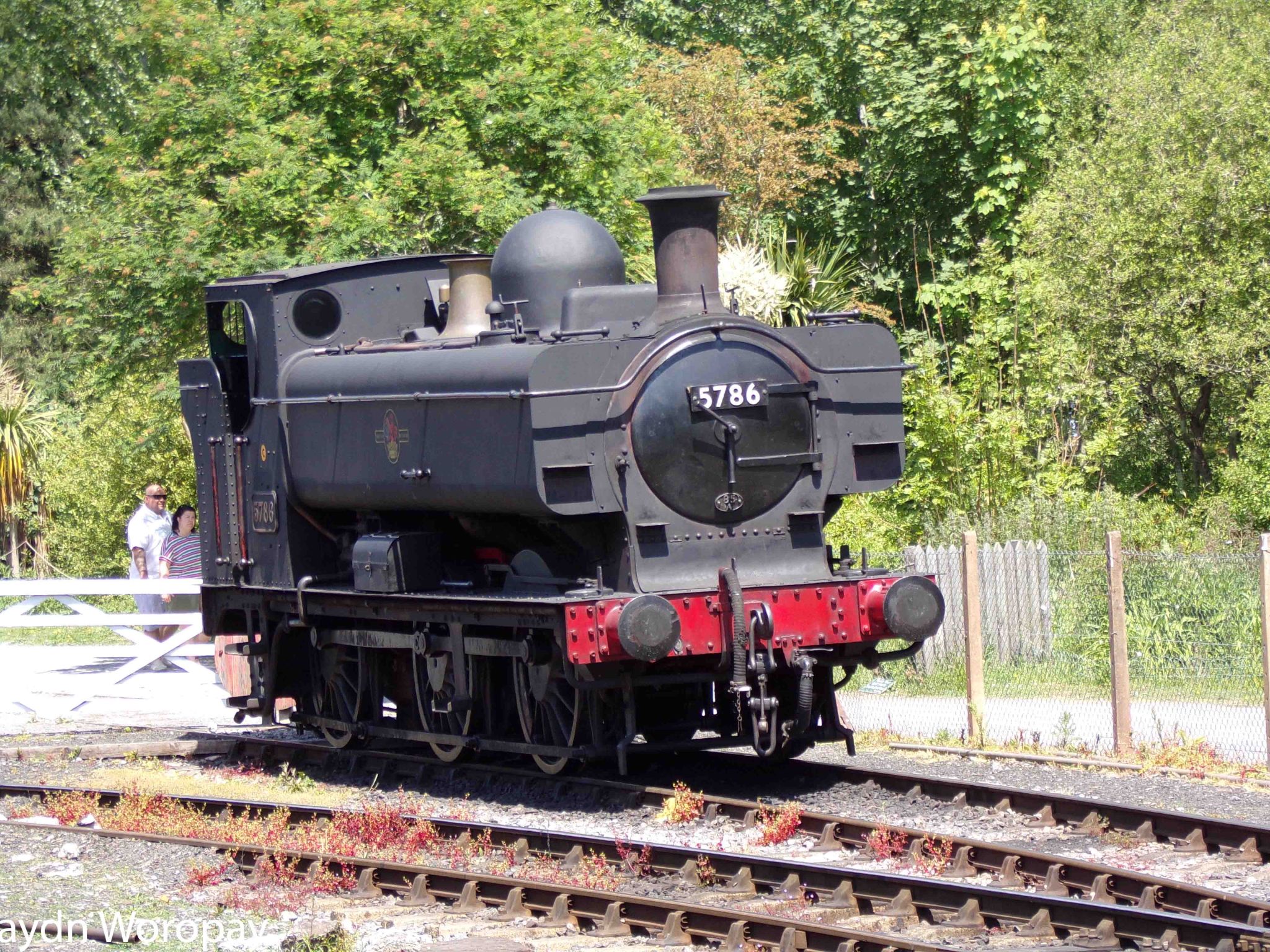 5786 – Preserved British Steam Locomotives
