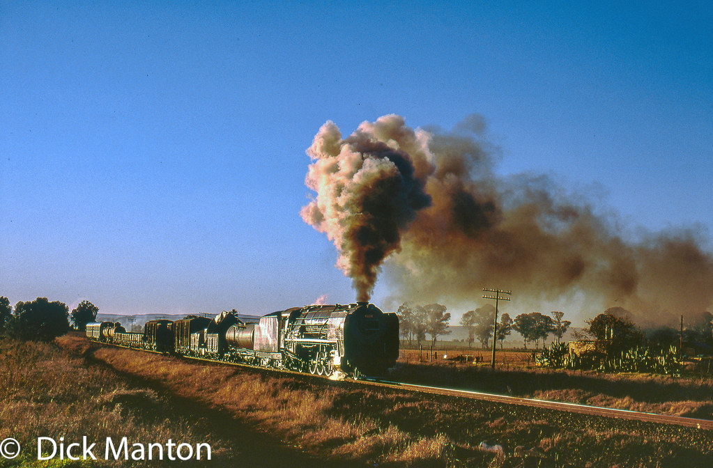 Class 15F 2902-3156 4-8-2 South African Railways Gauge 3ft 6in ...