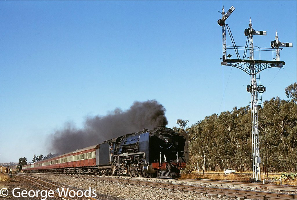 Class 15F 2902-3156 4-8-2 South African Railways Gauge 3ft 6in ...