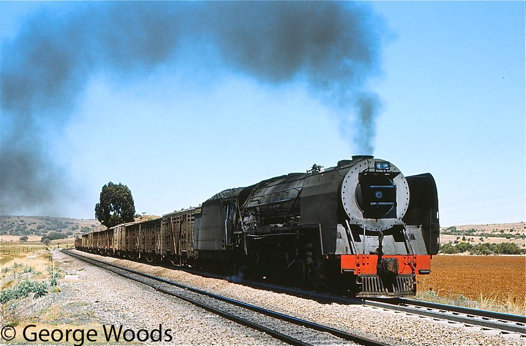 Class 15F 2902-3156 4-8-2 South African Railways Gauge 3ft 6in ...