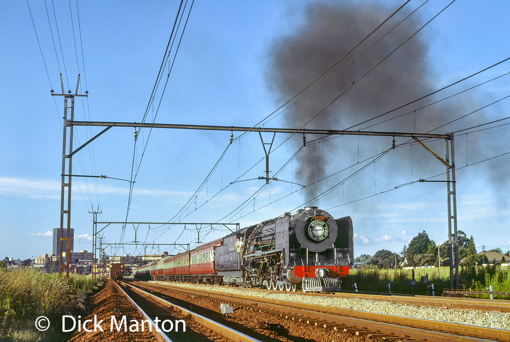 Class 15F 2902-3156 4-8-2 South African Railways Gauge 3ft 6in ...