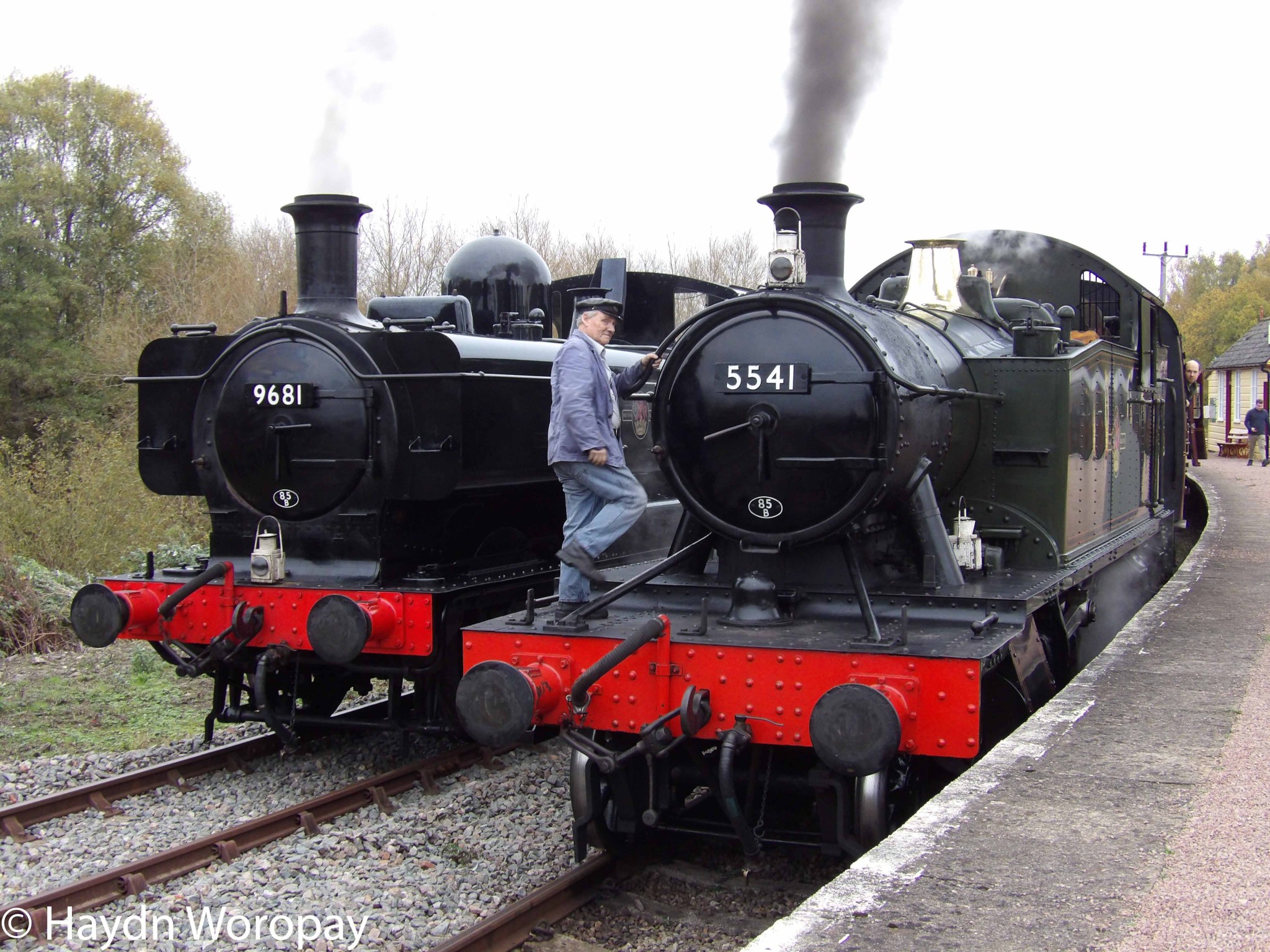 5541 – Preserved British Steam Locomotives