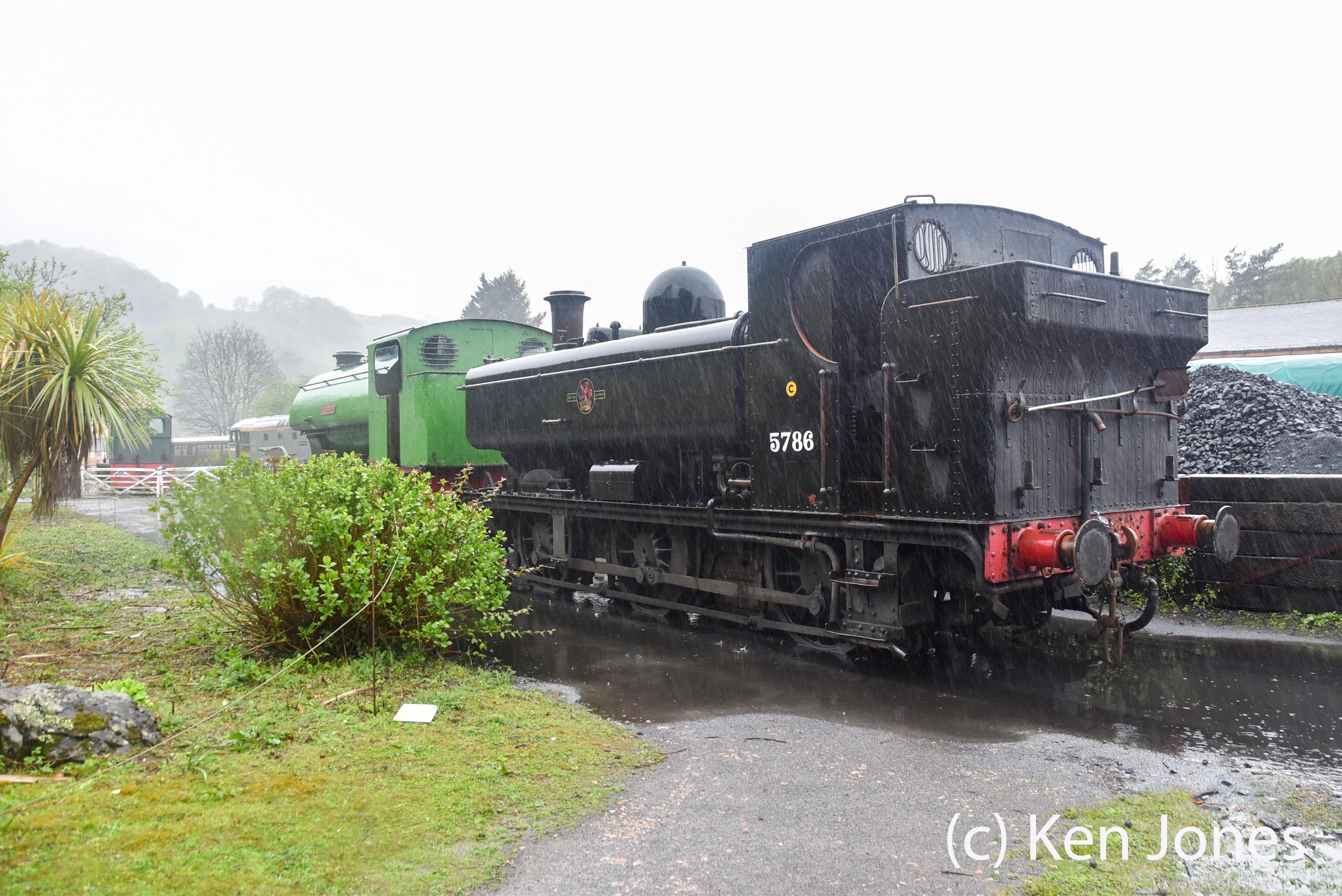 5786 – Preserved British Steam Locomotives